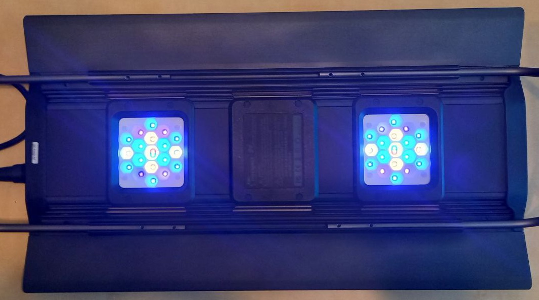 Светильник MaxSpect LED RSX R5-100 - БАРАХОЛКА - Морской аквариум ...