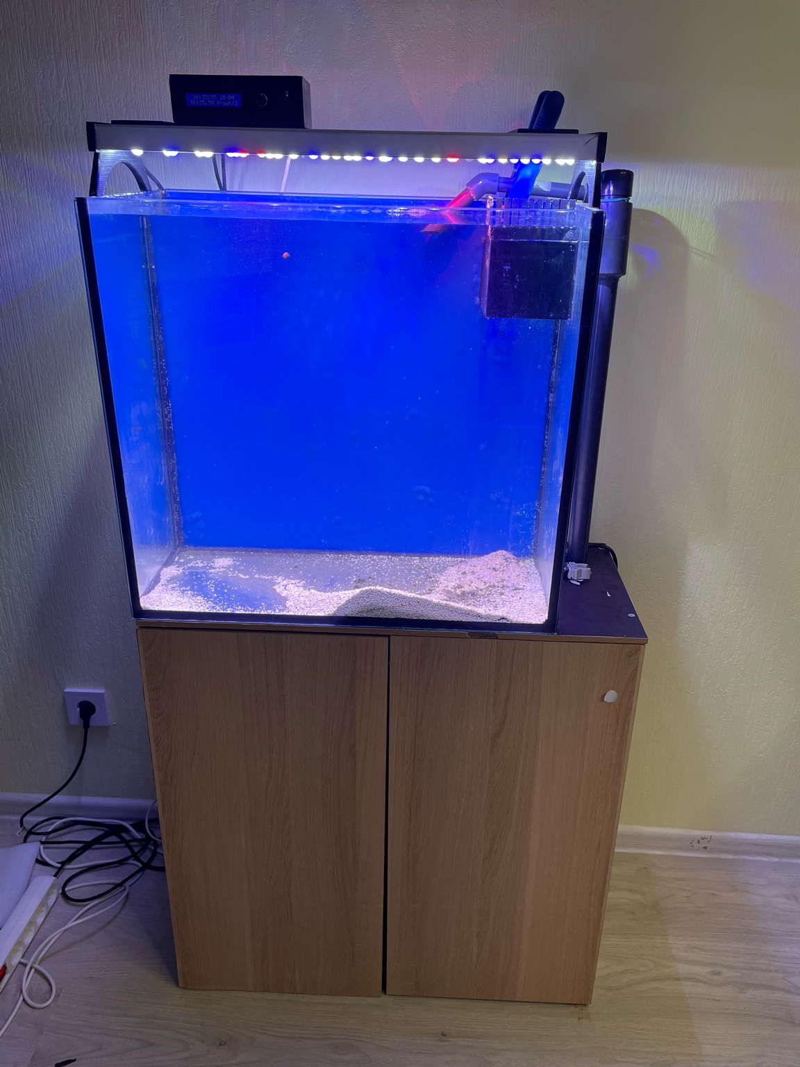 Морской аквариум - БАРАХОЛКА - Морской аквариум. Форумы ReefCentral.ru