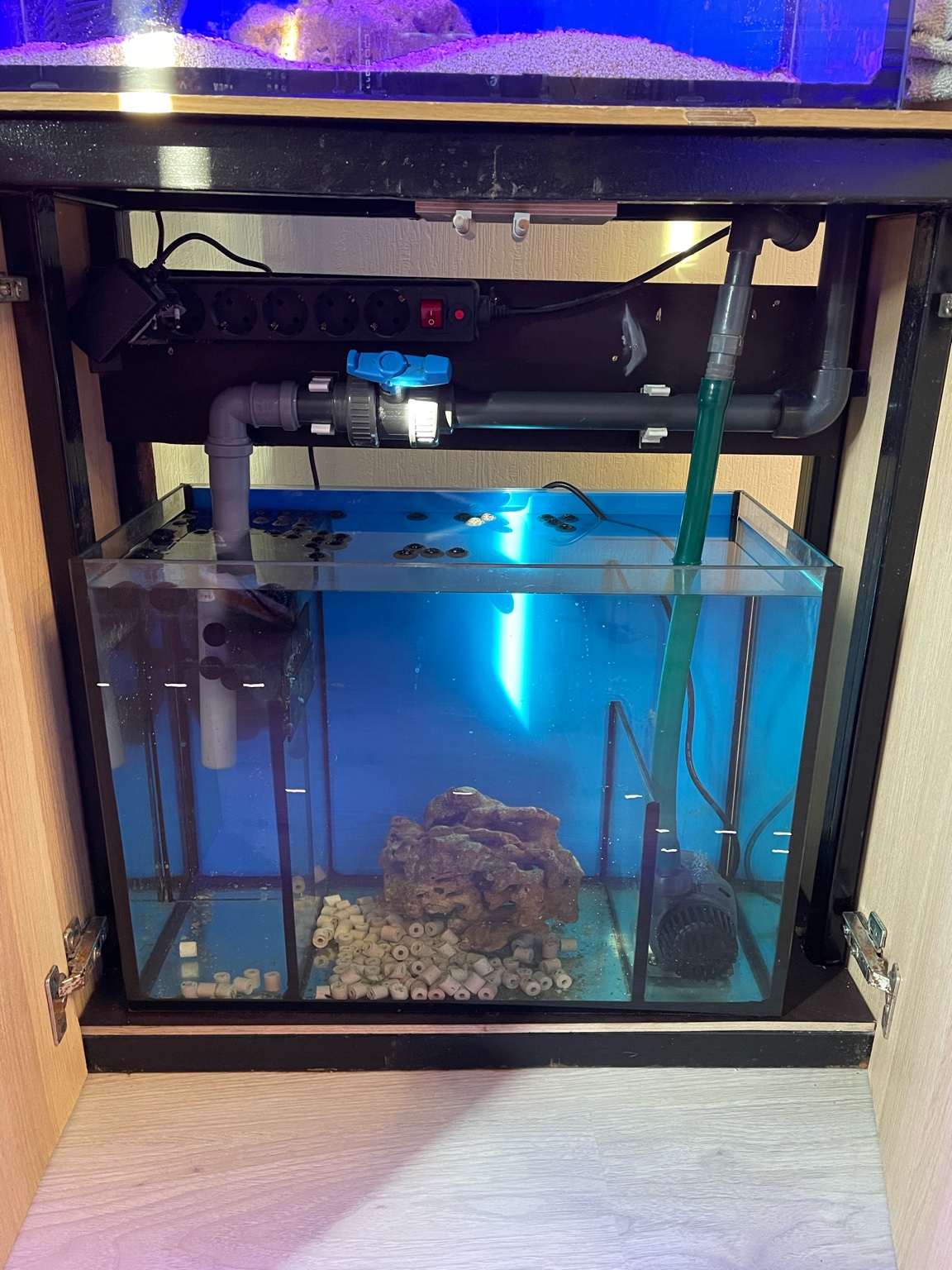 Морской аквариум - БАРАХОЛКА - Морской аквариум. Форумы ReefCentral.ru