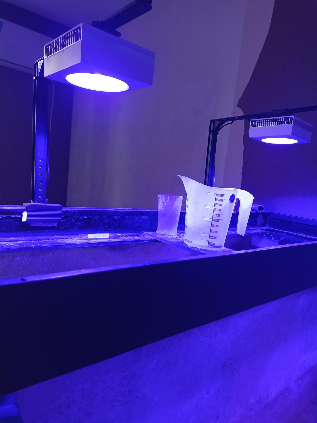 Продам Popbloom RL-90wifi - БАРАХОЛКА - Морской аквариум. Форумы ...